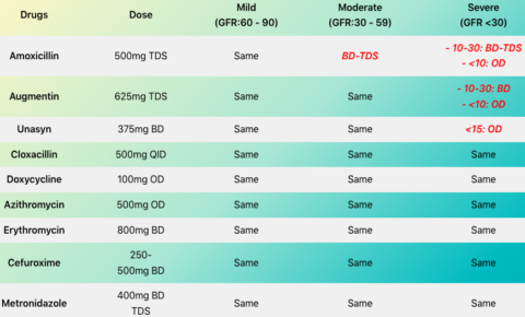 eGFR Calculator and Renal Doses - SetelDoc